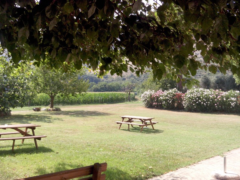 Triflisco (CE) - Forum Campanialive