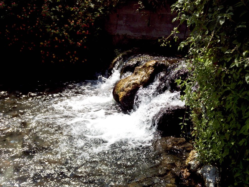 Triflisco (CE) - Forum Campanialive