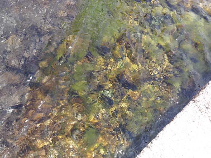 Triflisco (CE) - Forum Campanialive